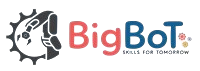 BigBot Robotics Education: Learn Robotics Online with Our Expert Guides